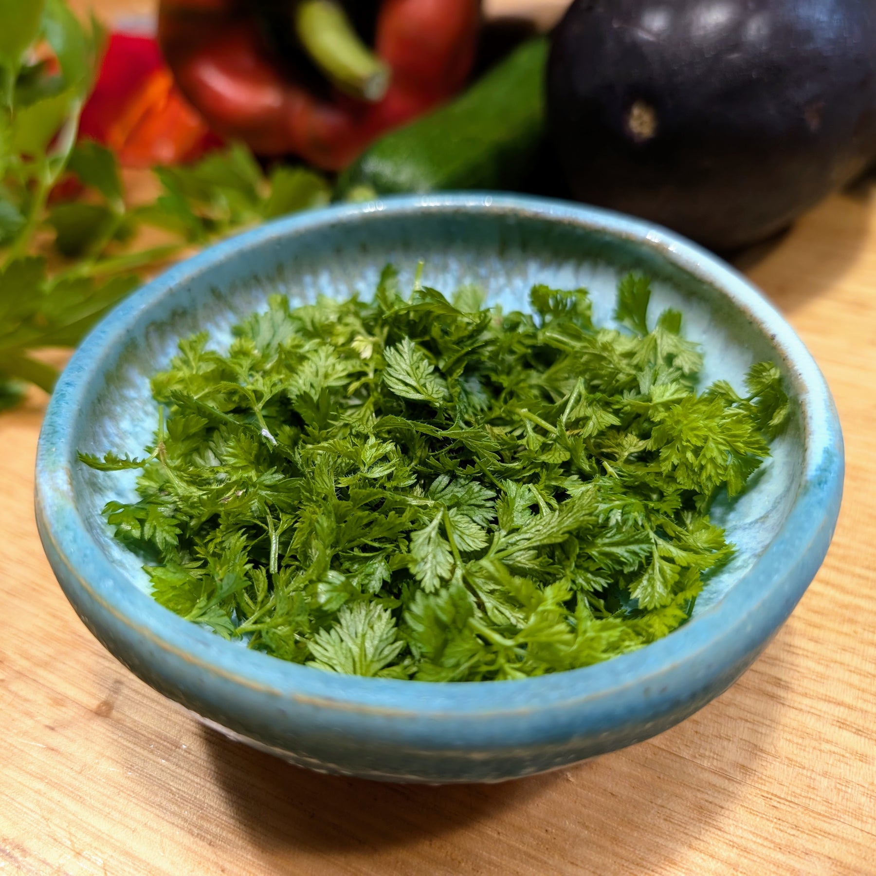 Organic Chervil Herb | Anthriscus cerefolium Plant - Mudbrick Herb Cottage