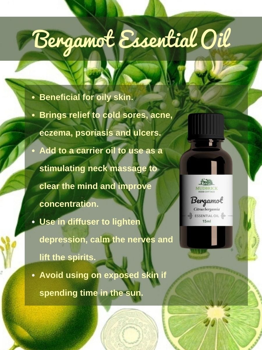 Buy Bergamot Essential Oil Online in Australia - Mudbrick Herb Cottage