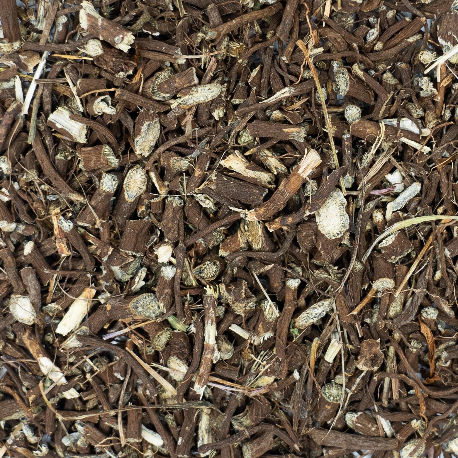 Echinacea Root - Australian Grown – Mudbrick Herb Cottage