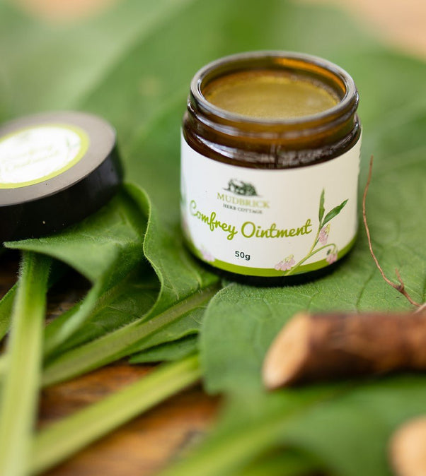 Comfrey Ointment - Handmade Comfrey Cream by Herb Cottage – Mudbrick ...