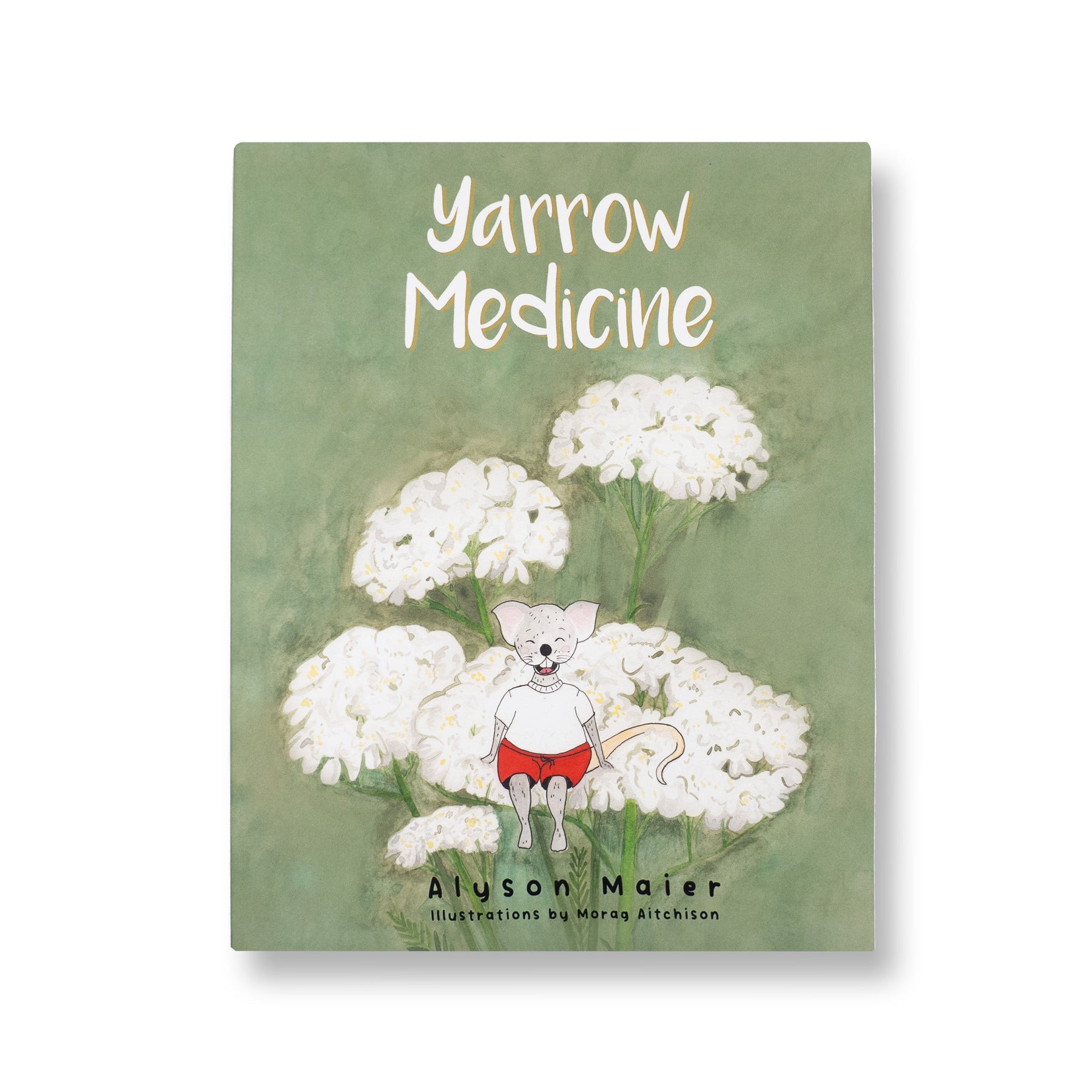 Yarrow Medicine - Herbal Adventure Book for Kids – Mudbrick Herb Cottage