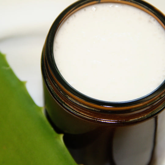 Organic Aloe Perryi Plant – Mudbrick Herb Cottage