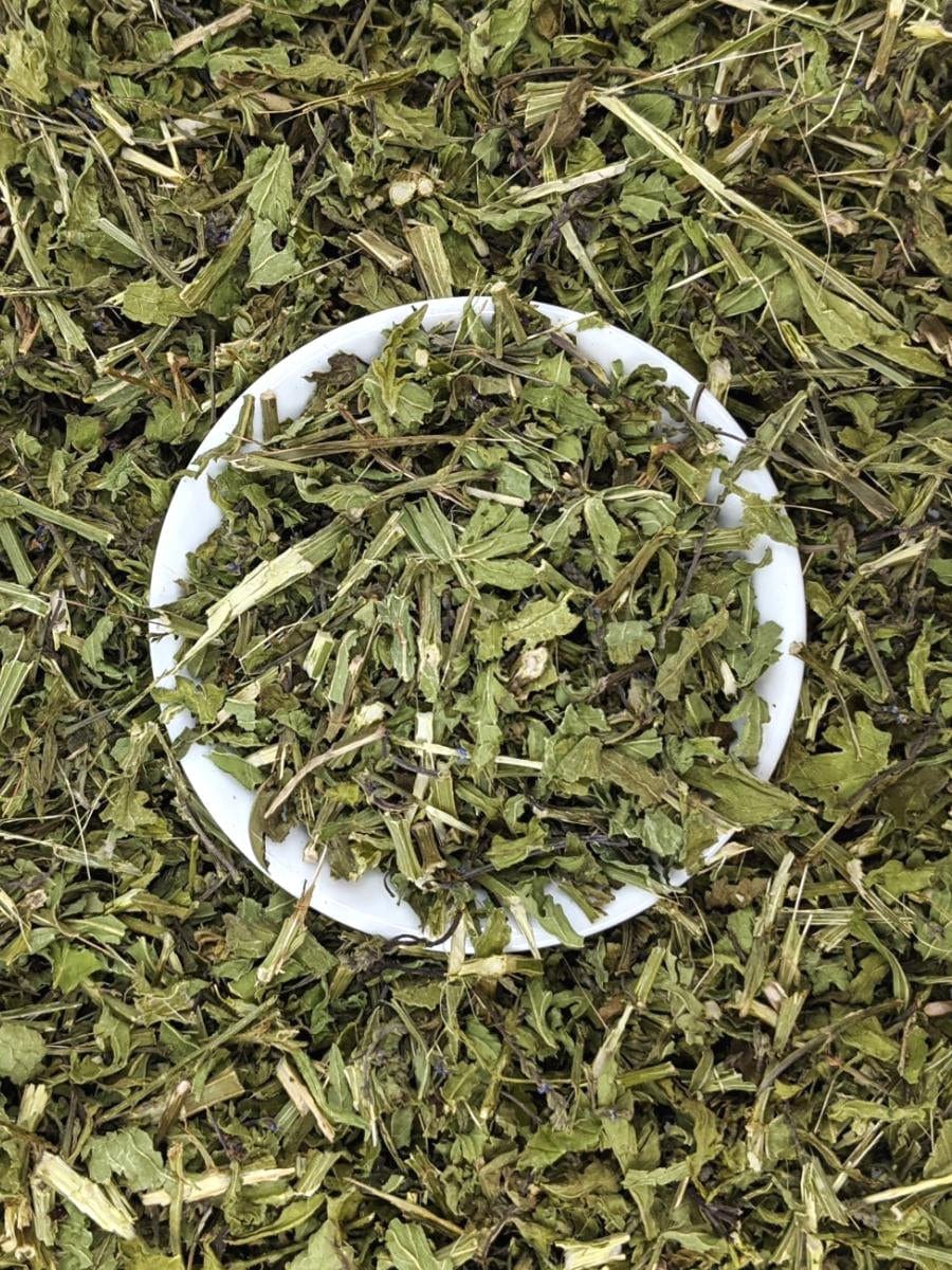 Vervain - Australian Grown – Mudbrick Herb Cottage