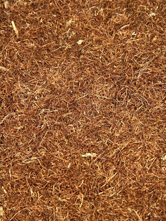 Cornsilk | Buy Dried Cornsilk - Mudbrick Herb Cottage