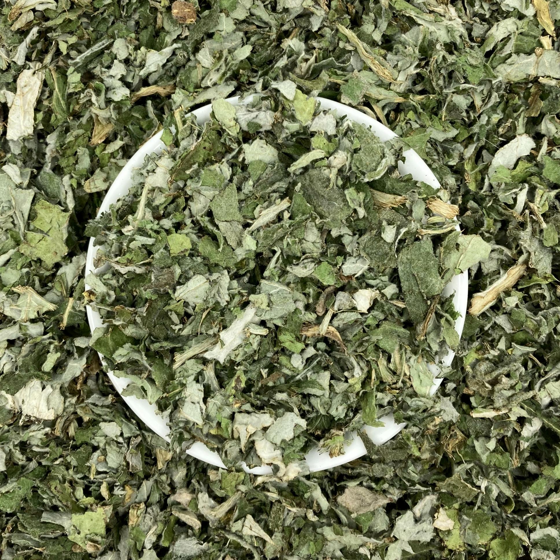 Globe Artichoke Tea | Cynara scolymus - Mudbrick Herb Cottage